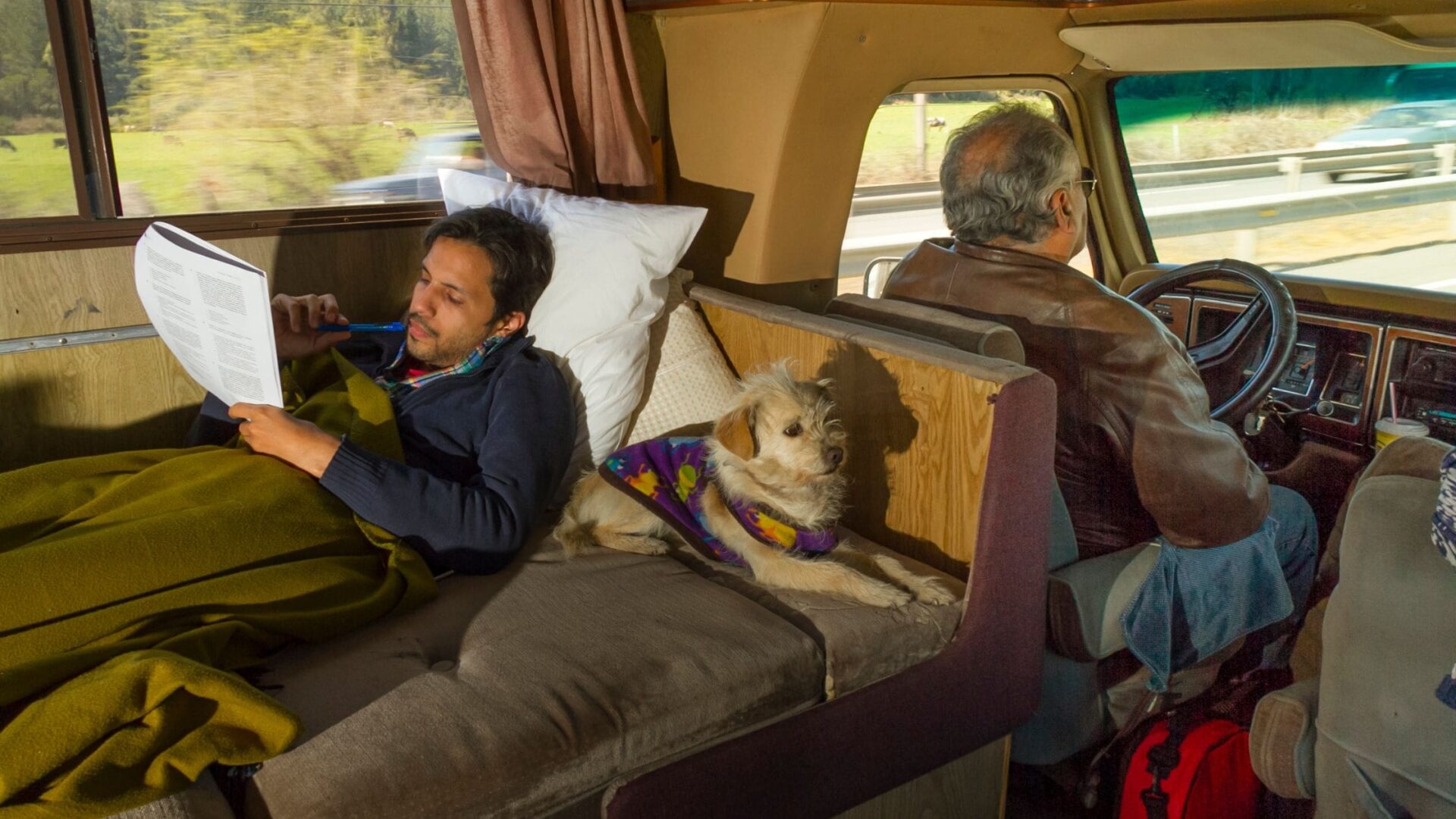 Guide to motorhoming with a dog | Oaktree Motorhomes